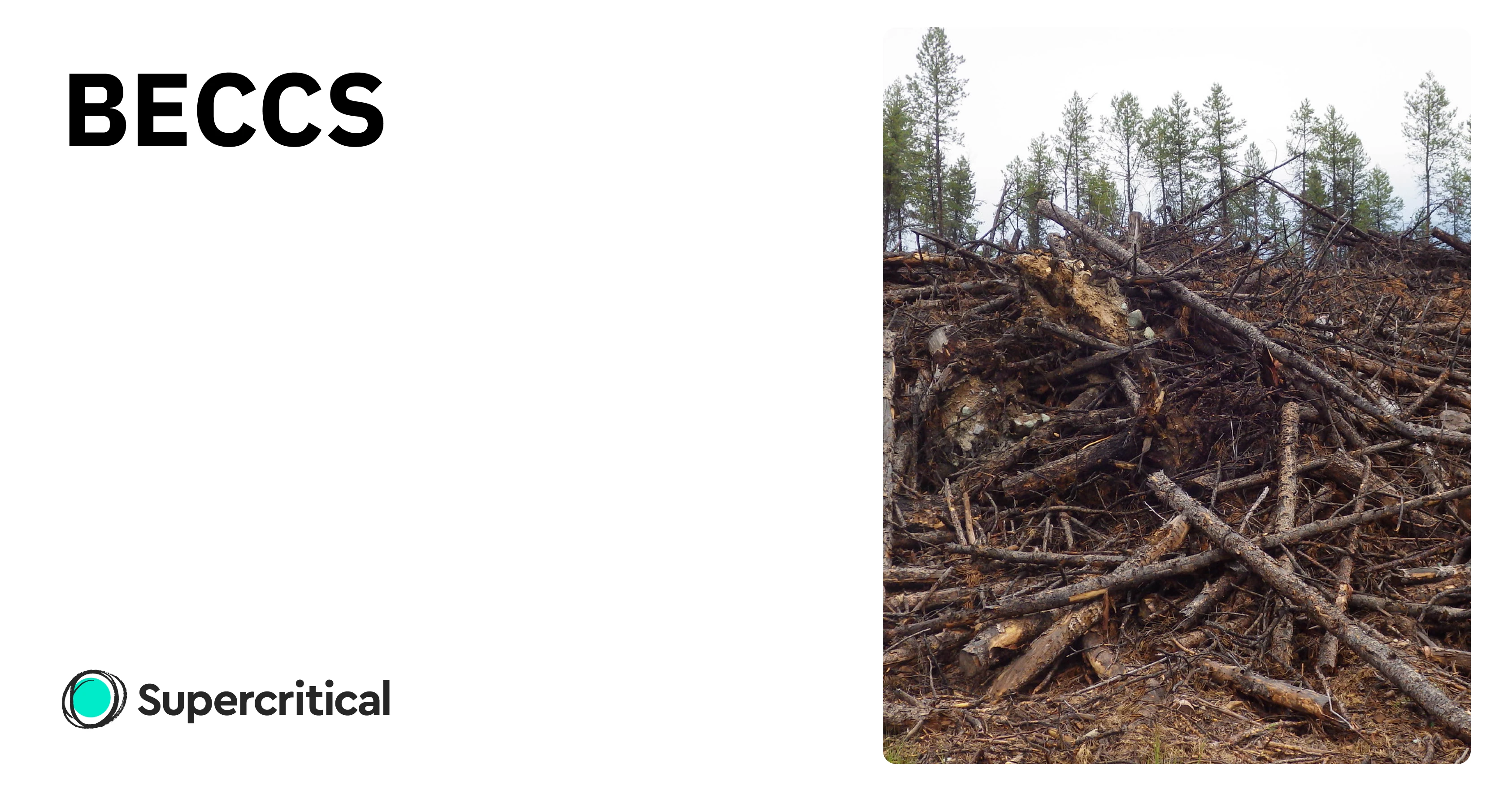 BECCS (Bioenergy with Carbon Capture and Storage) — buy carbon removal ...